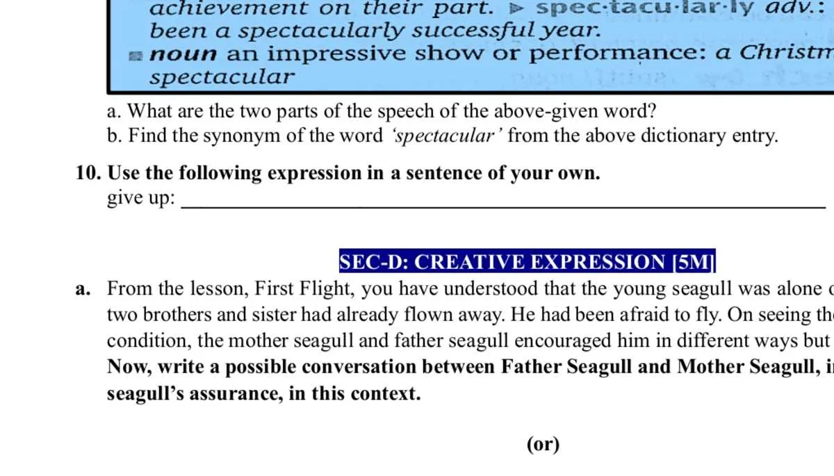 Synonyms for Spec and Related Terms