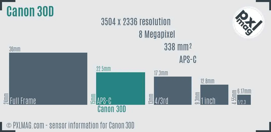Canon 30D Camera Specifications and Features