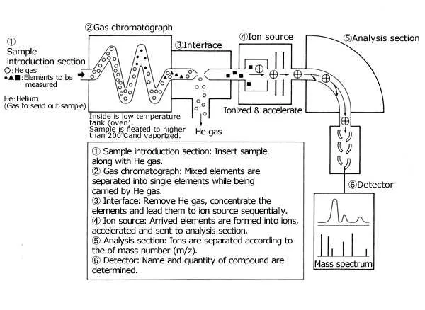 Mass Spectrometry Detector Function and Applications