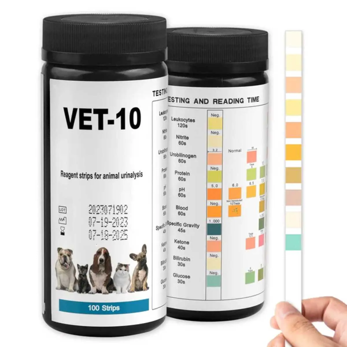 Urinalysis Specific Gravity Explained and Measured